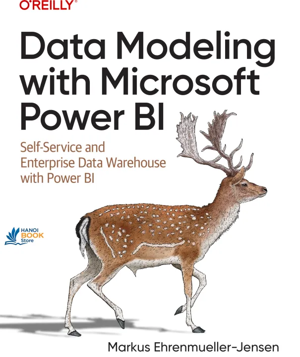 Sách Data Modeling with Microsoft Power BI Self-Service and Enterprise ...
